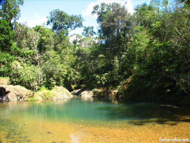 Charco Azul de Patillas - ZeePuertoRico.com