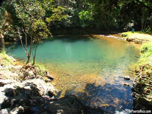 Charco Azul de Patillas - ZeePuertoRico.com