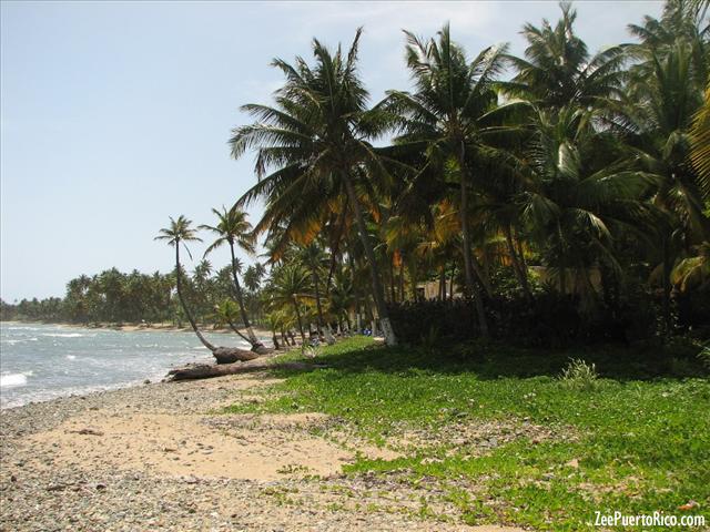 Playa Mala Pascua - ZeePuertoRico.com