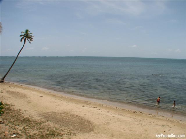 ZeePuertoRico.com - Villa Pesquera Beach of Patillas