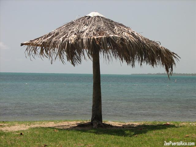 ZeePuertoRico.com - Villa Pesquera Beach of Patillas