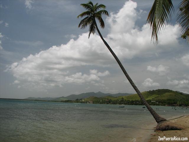 ZeePuertoRico.com - Villa Pesquera Beach of Patillas