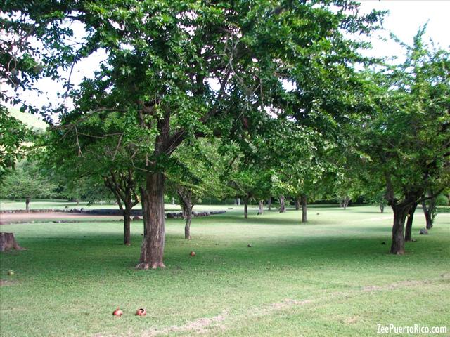 Centro Ceremonial Indígena de Tibes - ZeePuertoRico.com