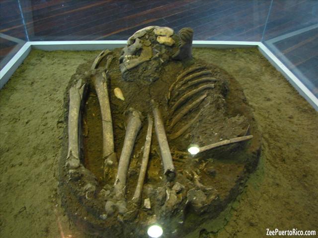 Centro Ceremonial Indígena de Tibes - ZeePuertoRico.com