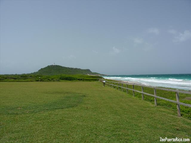 Isla Caja de Muerto - ZeePuertoRico.com
