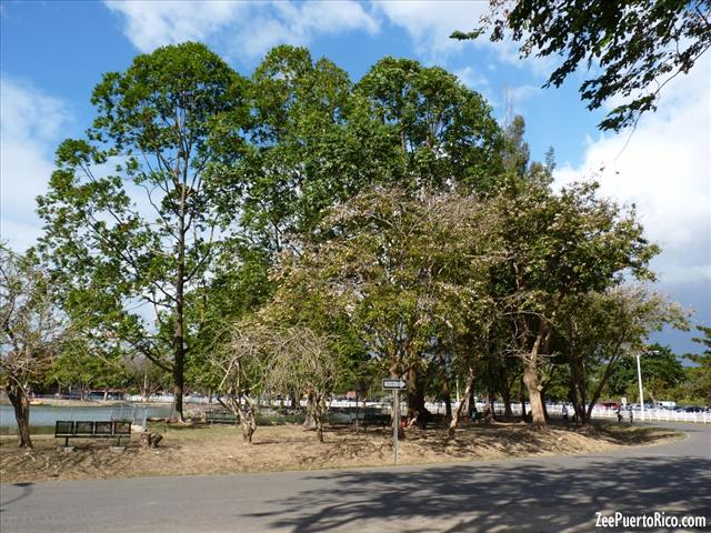 Parque Julio Enrique Monagas - ZeePuertoRico.com