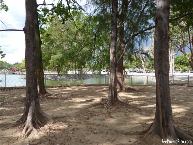 Parque Julio Enrique Monagas - ZeePuertoRico.com