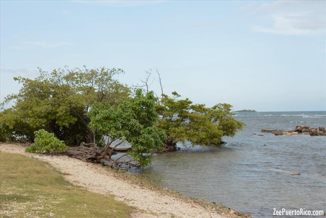 Playa de Ponce - ZeePuertoRico.com