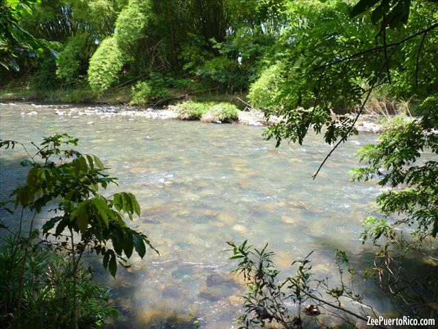 Ríos de Puerto Rico