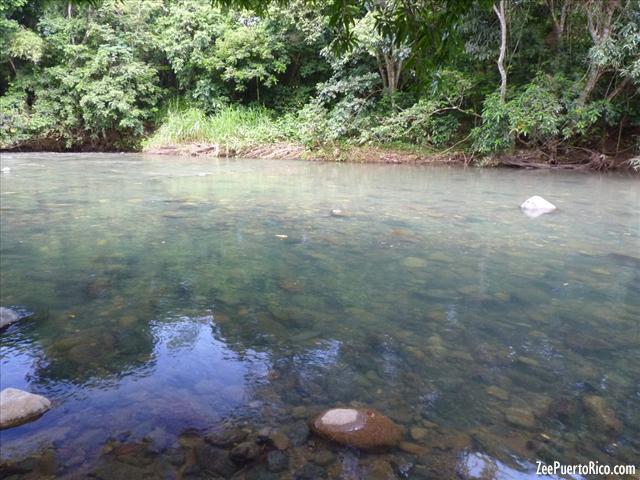 Río la Poza de Río Grande - ZeePuertoRico.com