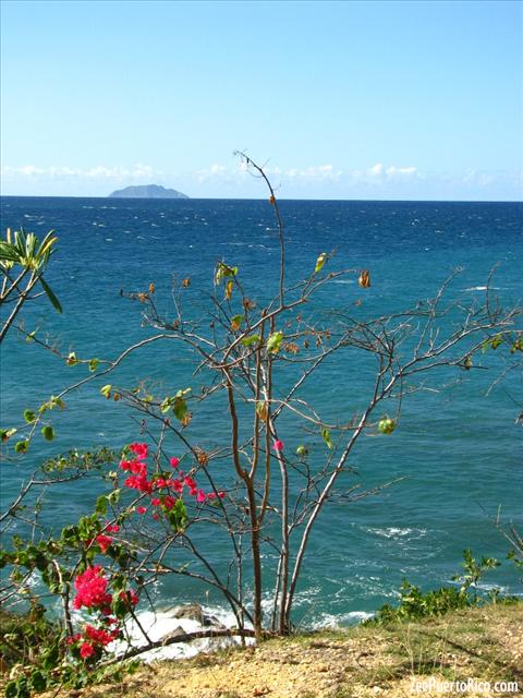 El Faro de Rincón - ZeePuertoRico.com