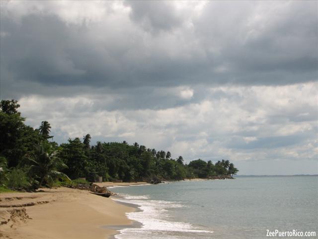 Playa de Rincón - ZeePuertoRico.com