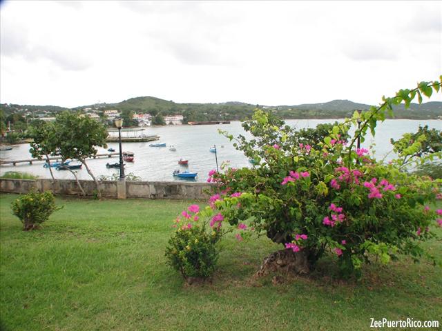 Faro Punta Mulas - ZeePuertoRico.com