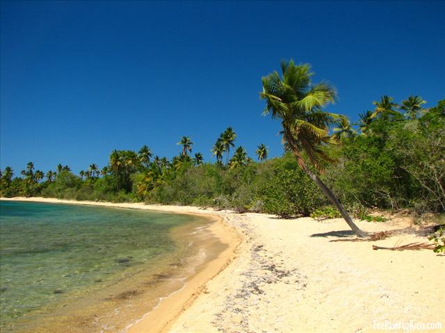 Playa Punta Arenas - ZeePuertoRico.com