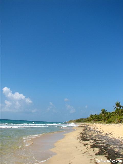 ZeePuertoRico.com - Punta Vaca Beach