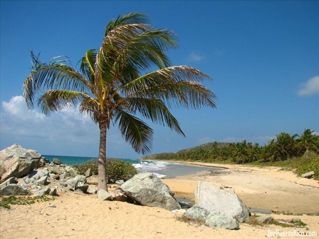 ZeePuertoRico.com - Punta Vaca Beach