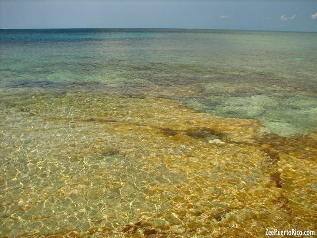Playa el Gallito - ZeePuertoRico.com