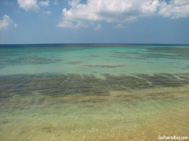 Playa el Gallito - ZeePuertoRico.com