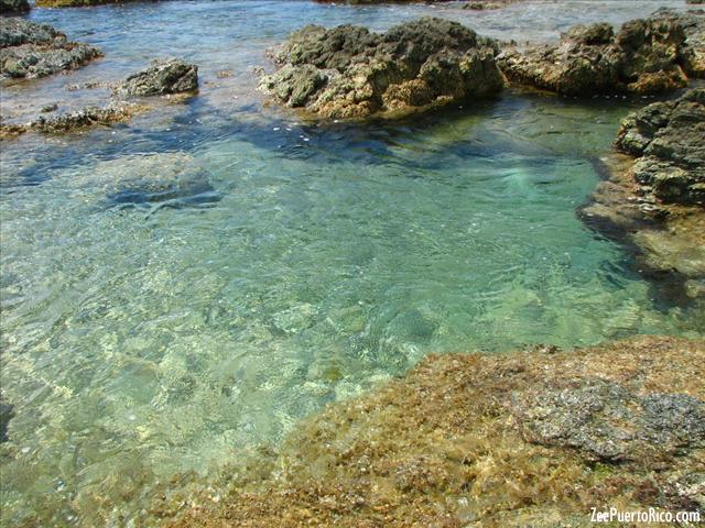 Playa el Gallito - ZeePuertoRico.com