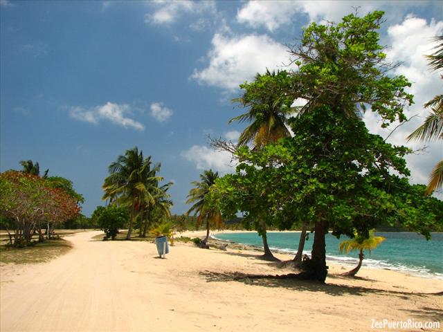 ZeePuertoRico.com - Sun Bay