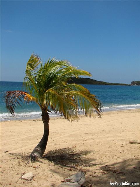 ZeePuertoRico.com - Sun Bay