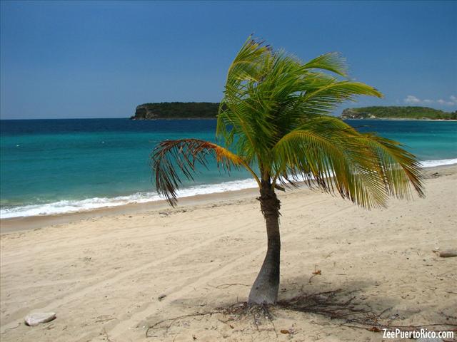 ZeePuertoRico.com - Sun Bay