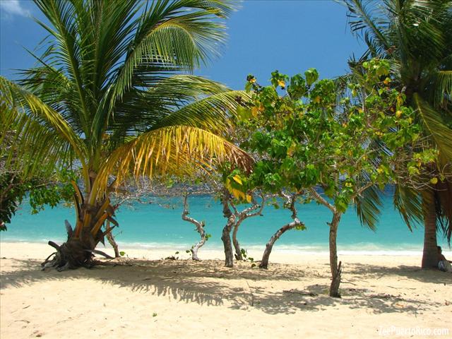 ZeePuertoRico.com - Sun Bay